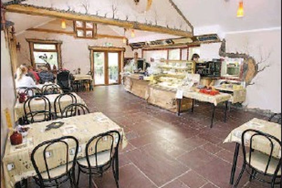 Magical food at the Blueberry Café | Irish Independent
