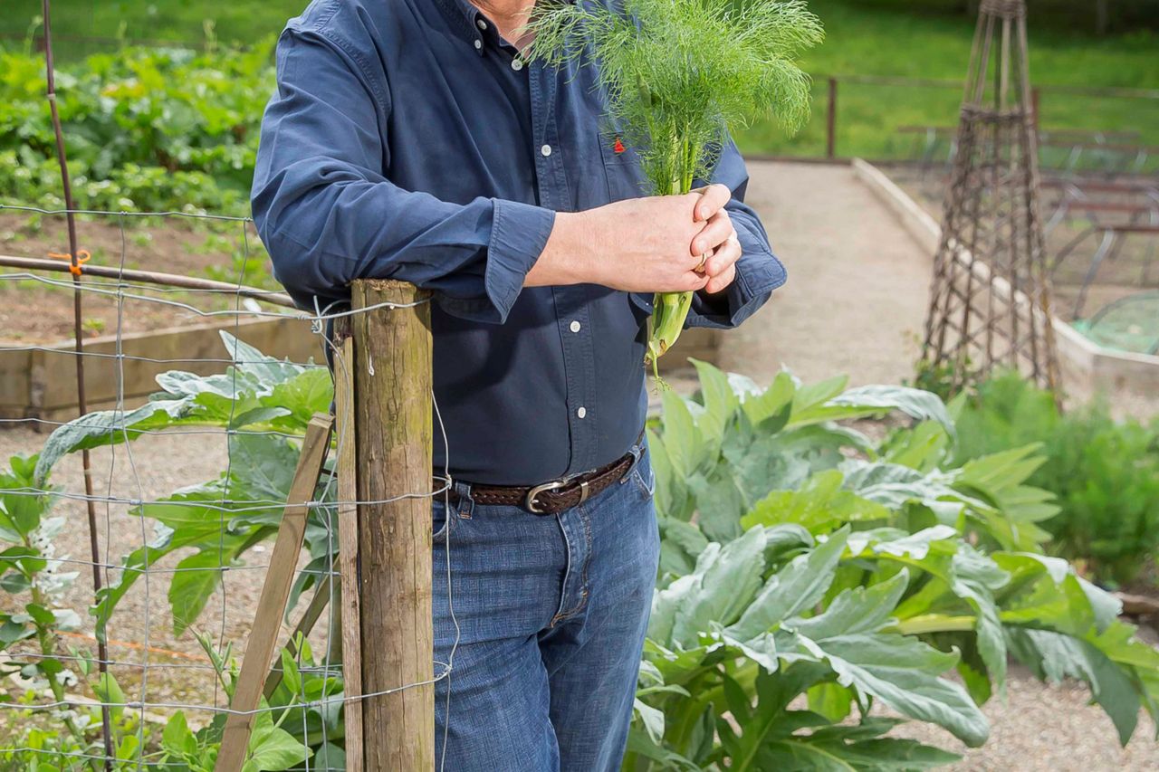 Food: Garden delights from Kevin Dundon and Derry Clarke | Irish ...