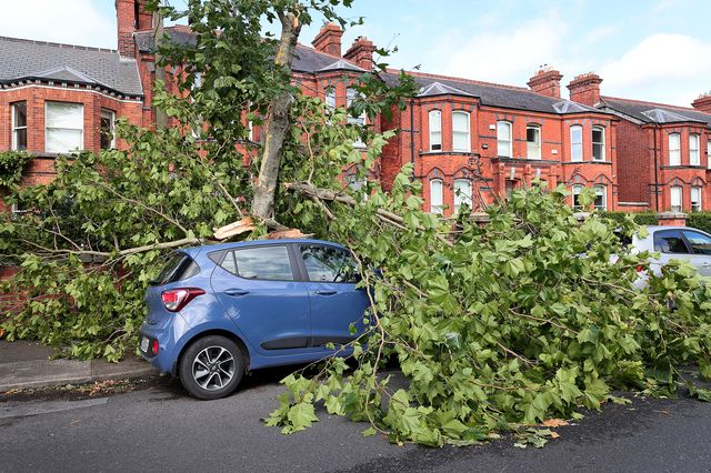 Storm Betty: Crews take part in major clean-up operation across the ...