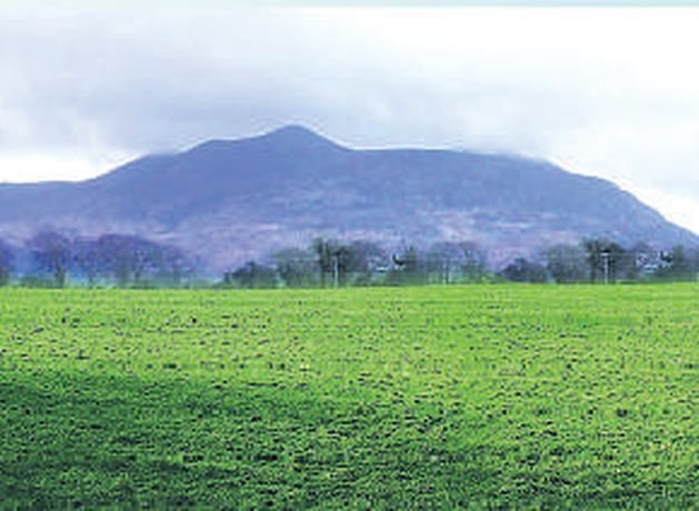 Local lad lands top holding on the picturesque banks of River Laune ...
