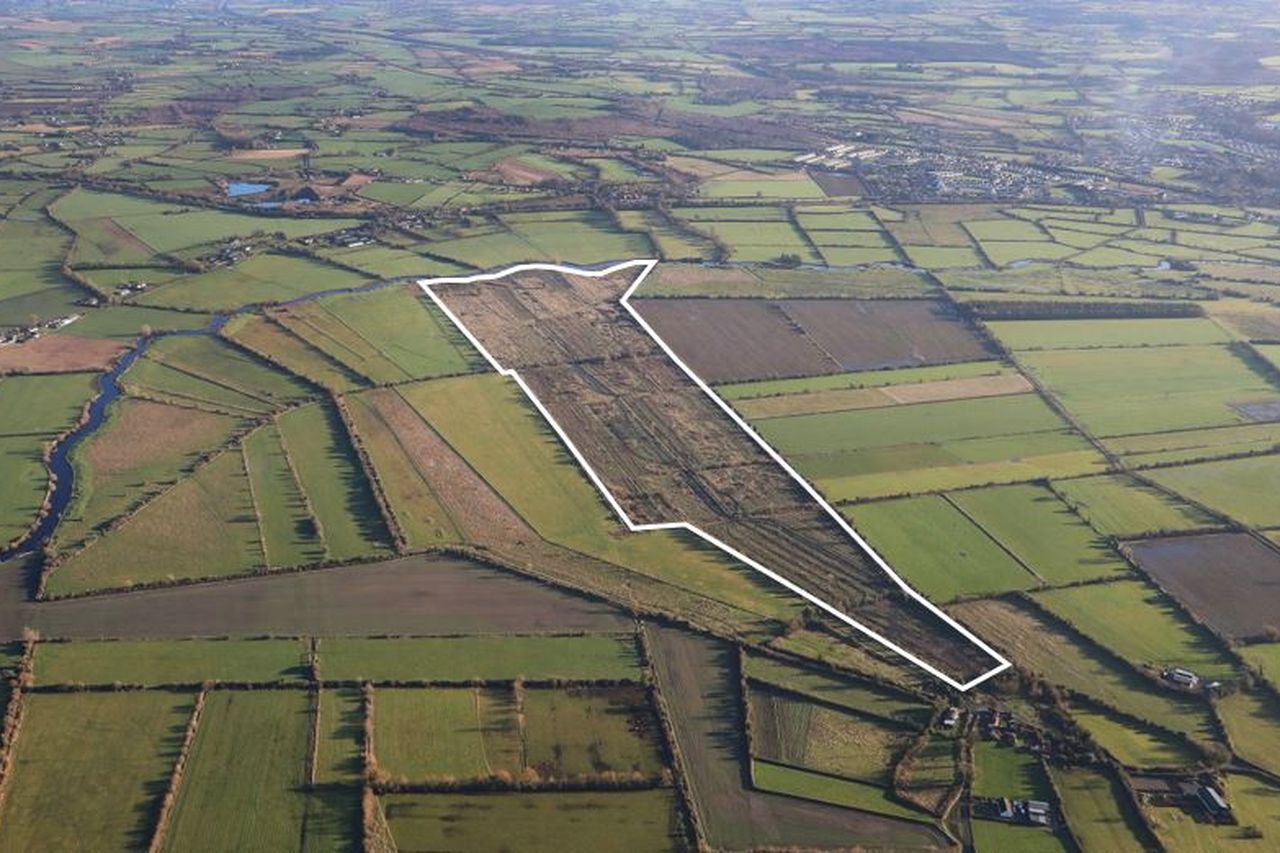 170ac of cleared forestry land in Kildare guided at €5,000/ac to €7,000 ...