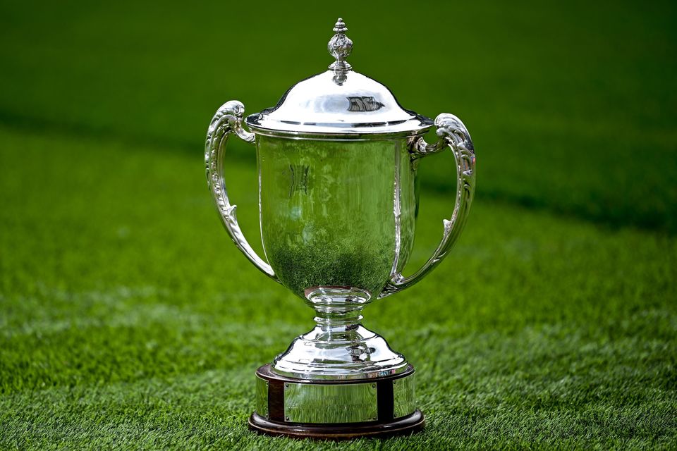 Joe McDonagh Cup 2024: County by county guide to hurling’s second tier ...