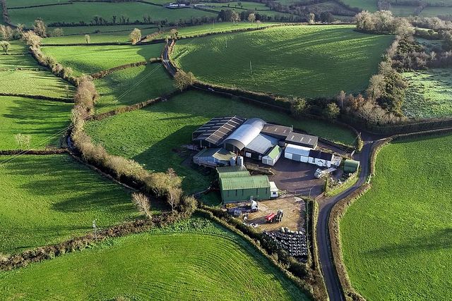 83ac Monaghan farm sells for €1.9m in five lots | Irish Independent