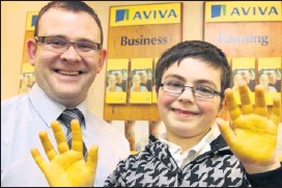 Aviva wants to hear from young budding artists | Irish Independent