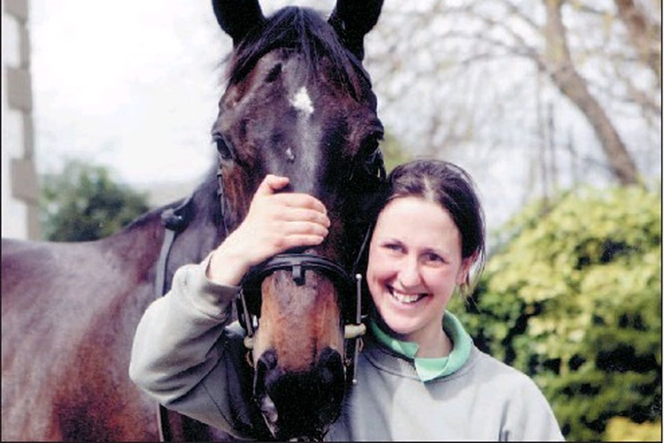 Top Irish chaser in safe hands | Irish Independent