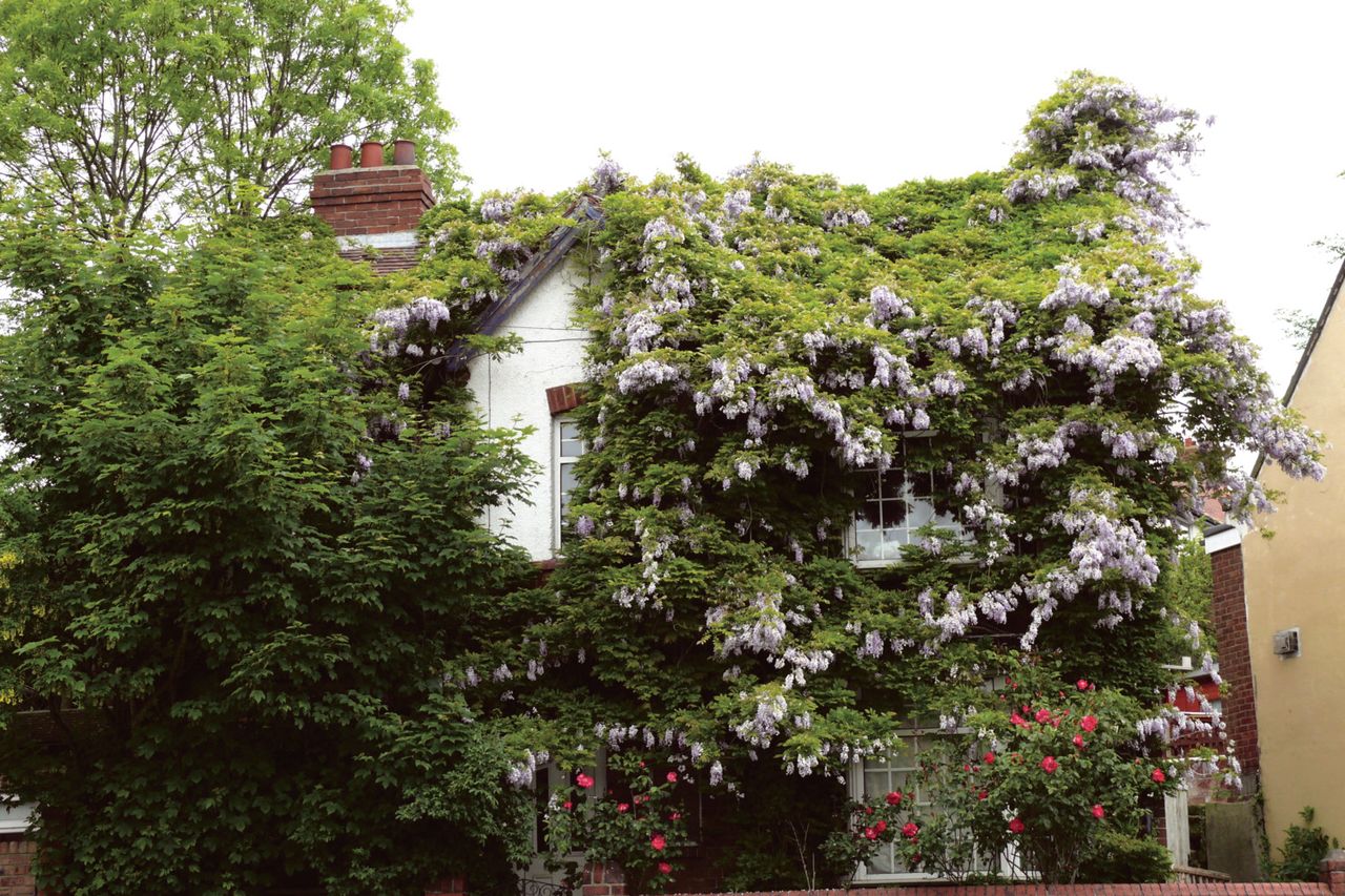 Diarmuid Gavin on how to transform your garden from scratch | Irish ...