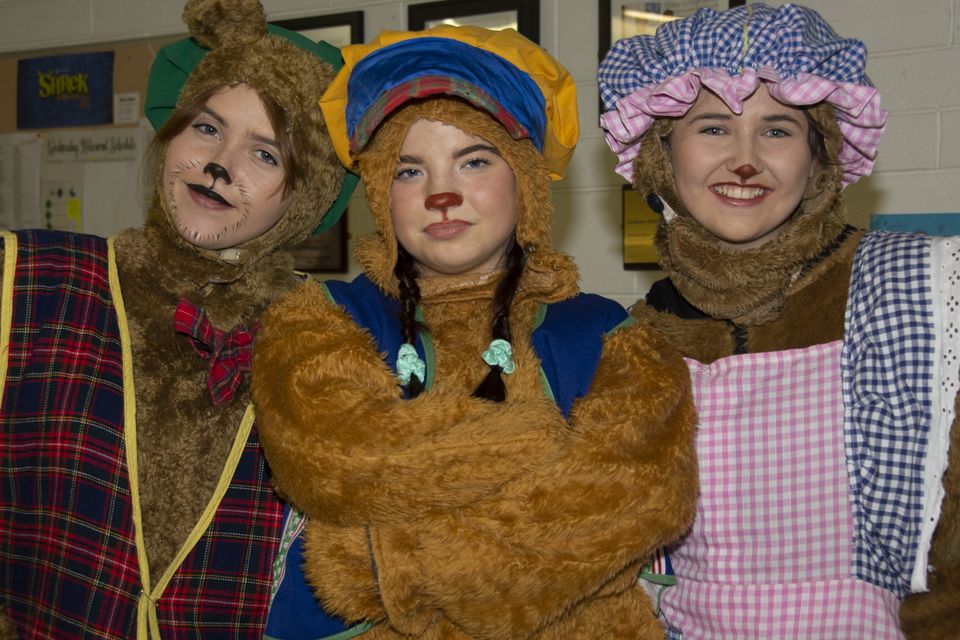 See our photos from Blessington Community College’s production of Shrek ...