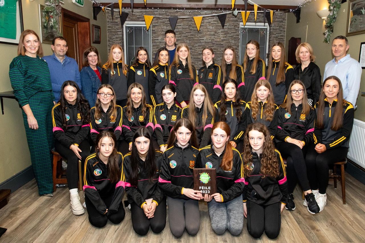 Huge haul of medals for Kilkenny camogie teams | Irish Independent