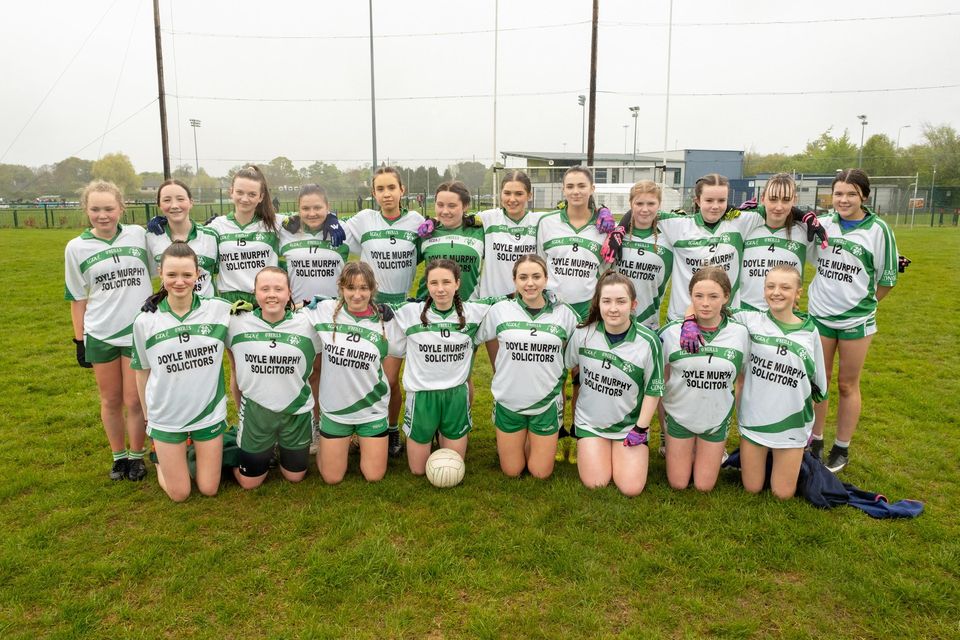 All the Wicklow GAA details | Irish Independent