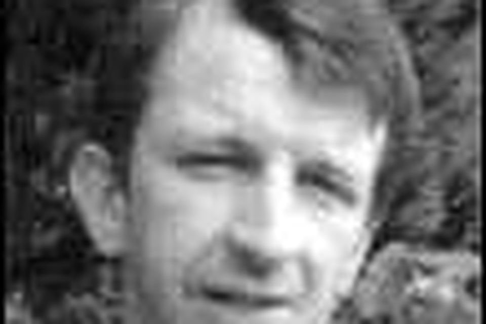 Connacht Gold elects officers | Irish Independent