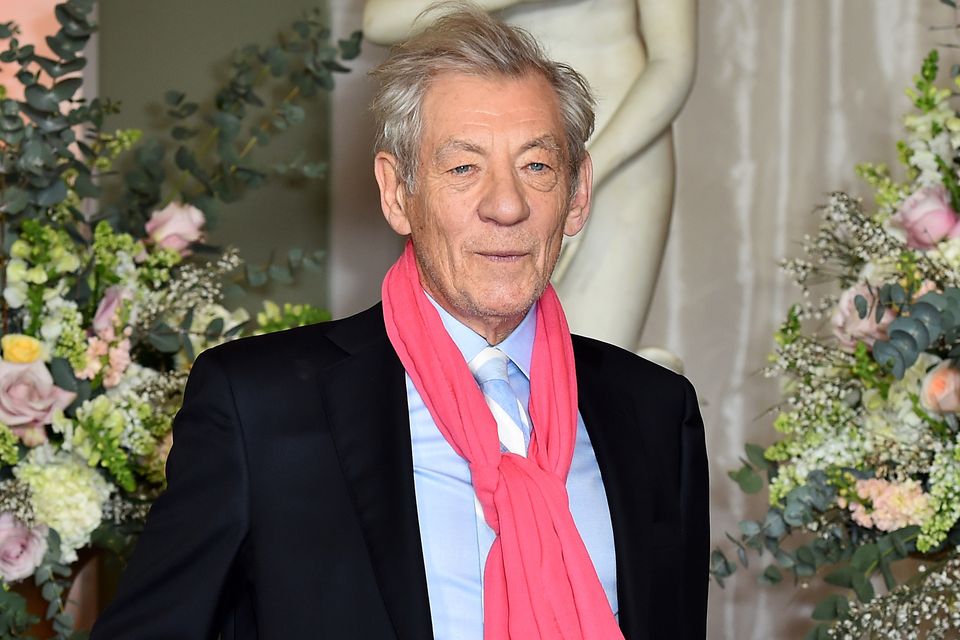 Sir Ian McKellen turned down Harry Potter role as 'Richard Harris ...
