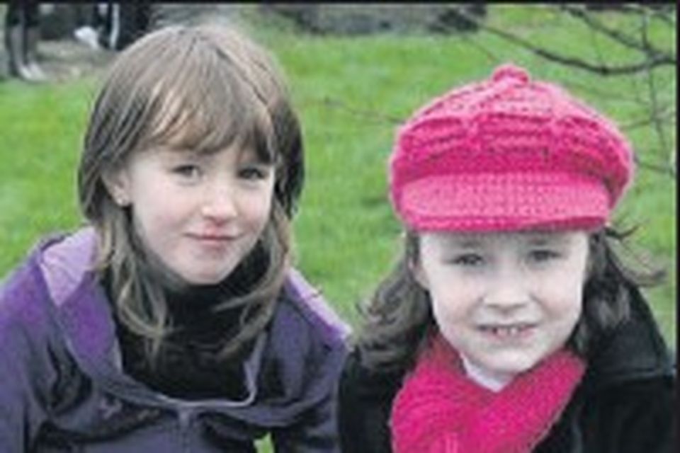 Bree Parish Journal remains a real treat | Irish Independent