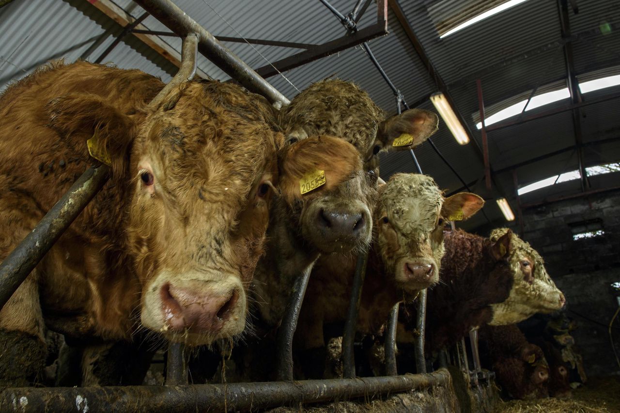 Drystock farms down to three weeks’ slurry capacity as stores run low ...