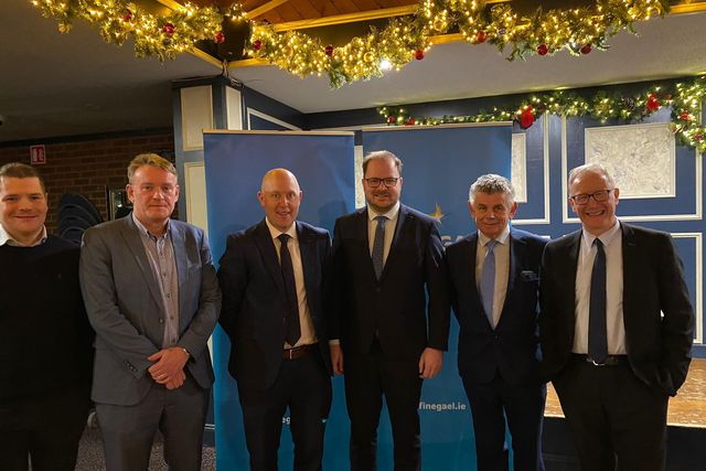 Former Leinster GAA chief Martin Skelly to run for Fine Gael in ...