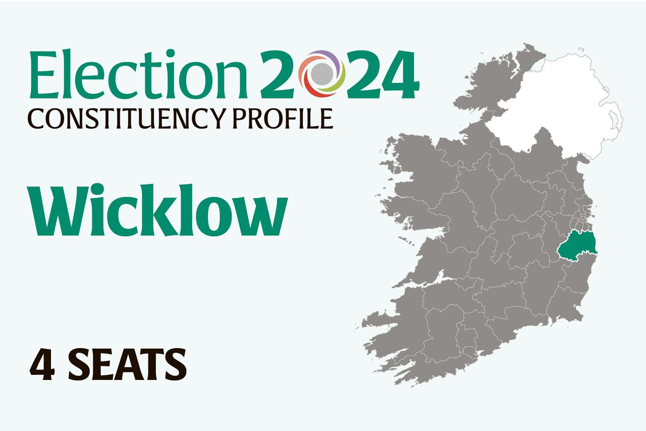 Wicklow Election 2024: Who are the candidates and who could make gains ...