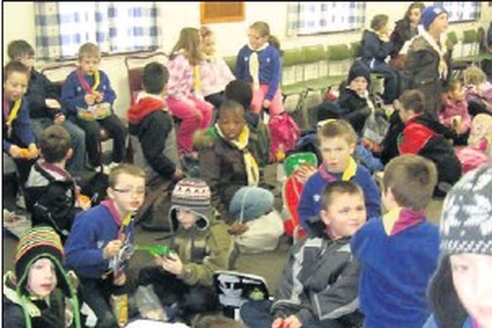Beavers descend on town for Scout County Challenge | Independent.ie