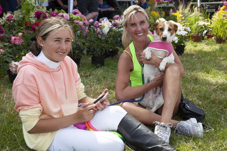 Return of Carnew show sees huge crowd gather for a day of entertainment ...