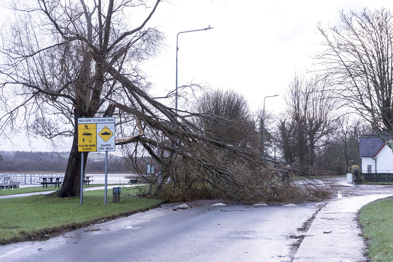 Storm Darragh leaves trail of destruction across County Sligo | Irish ...