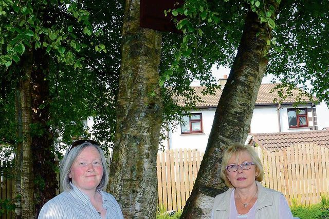Doorly Park's 'Batwoman' teams up with Men's Shed | Independent.ie