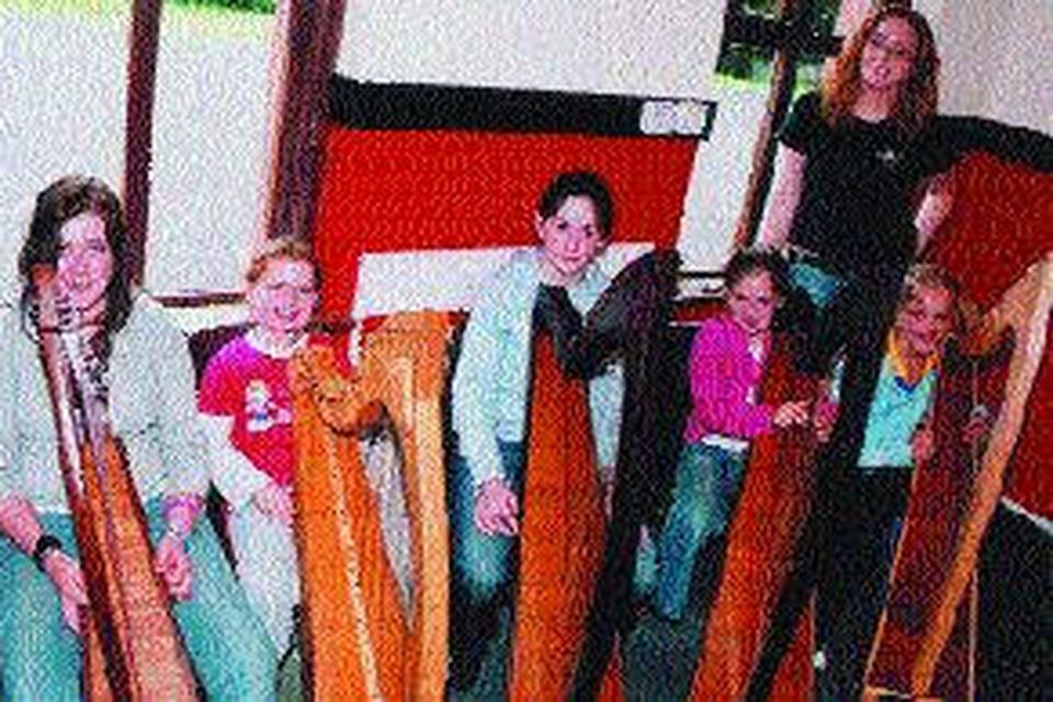 Successful OCarolan Harp Festival in Keadue | Irish Independent