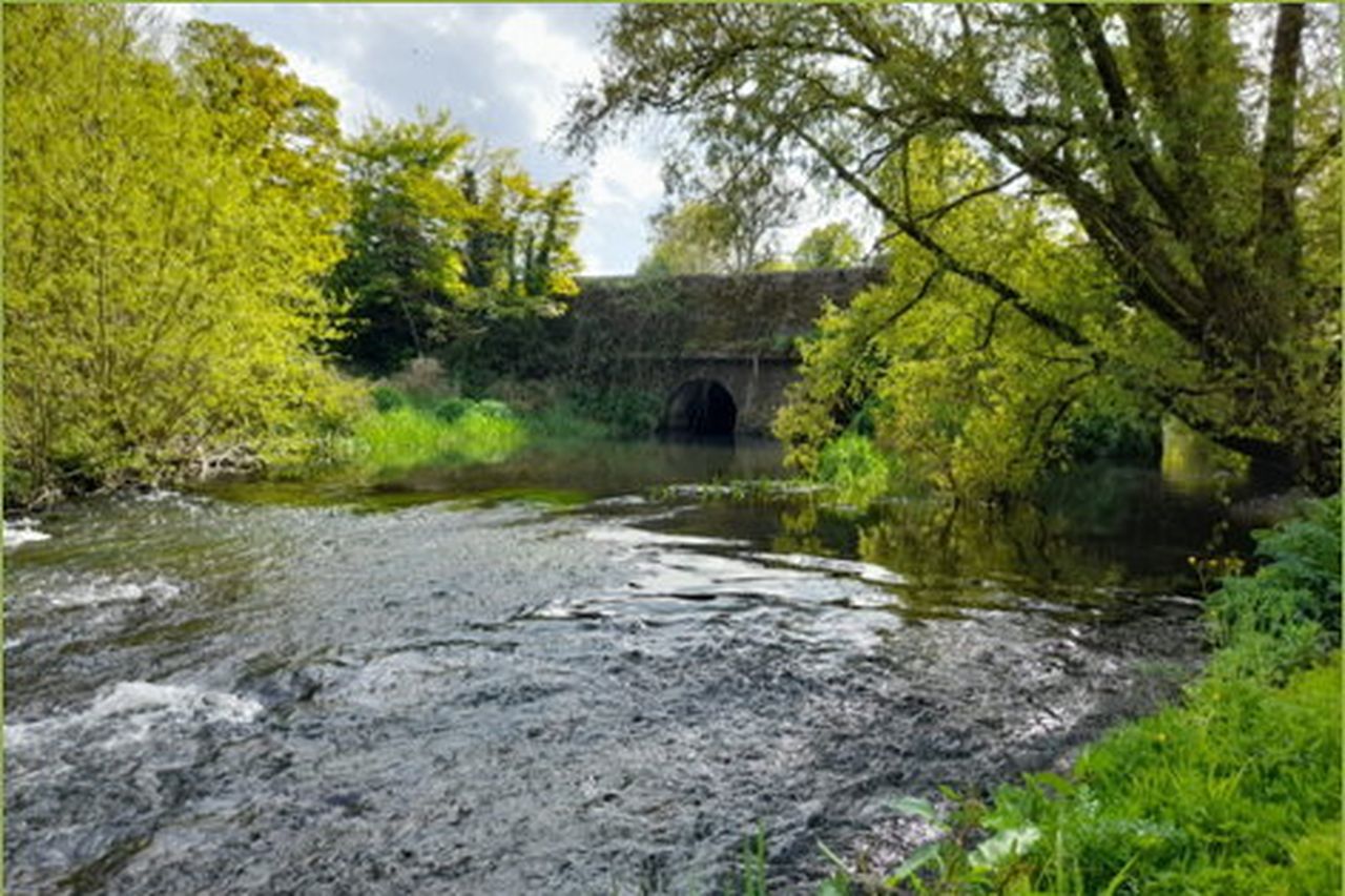 Chance for public to have their say on improving water quality in Louth ...