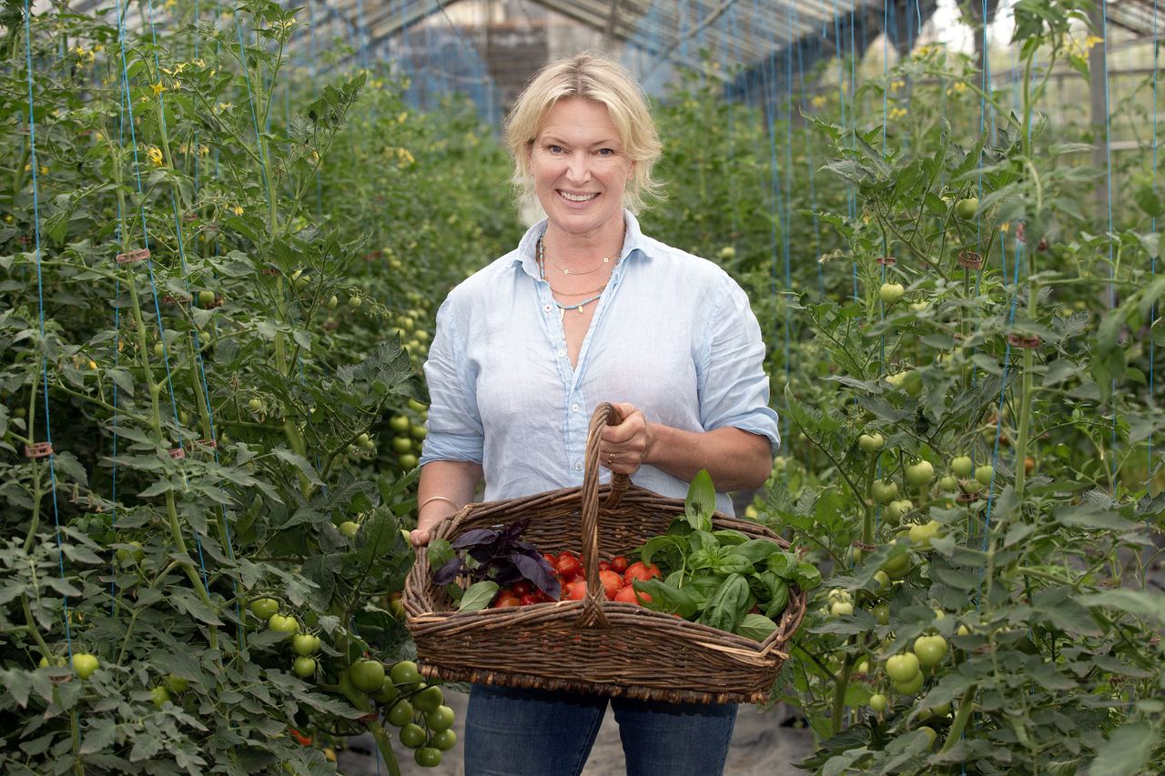 Rachel Allen is a tomato purist this time of year – here are her top ...