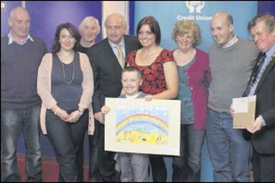 Lee wins All-ireland crown in Credit Union art competition | Irish ...