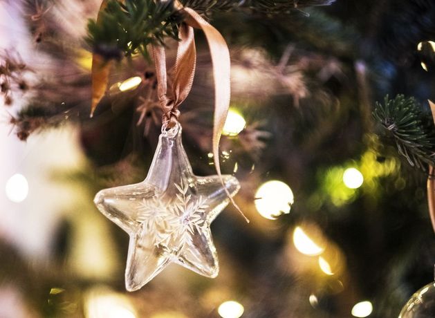 Revealed – where in Mayo to recycle your Christmas tree | Irish Independent