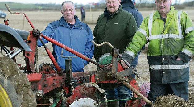 The stars of the plough | Irish Independent