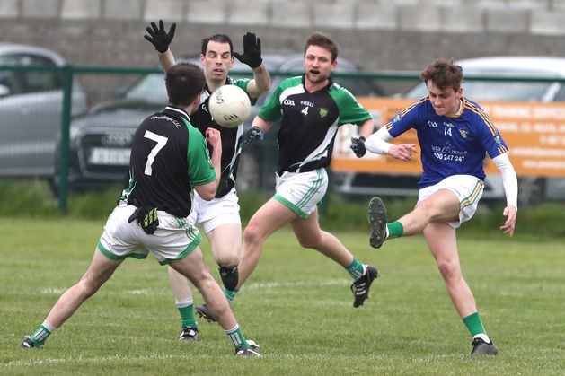 Louth GAA Division 1 reports | Irish Independent