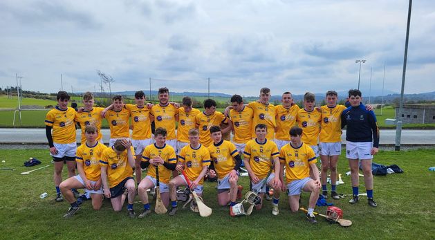 Gallant Wicklow Gold side go down fighting away to Derry in Celtic ...