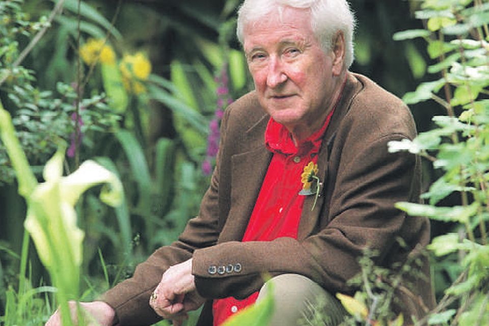 Poet's short takes are timeless tales | Irish Independent