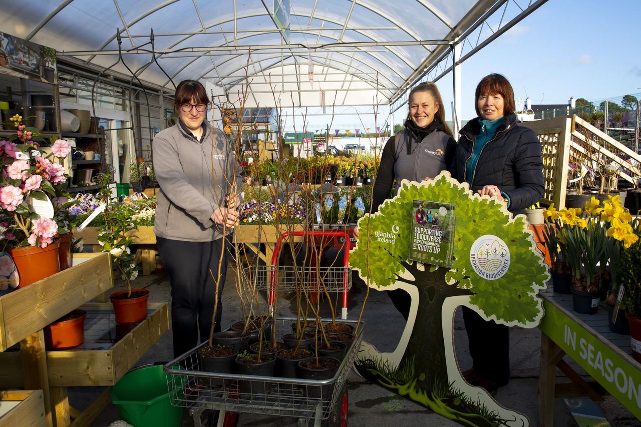 Glanbia makes donation of trees to Campile | Irish Independent