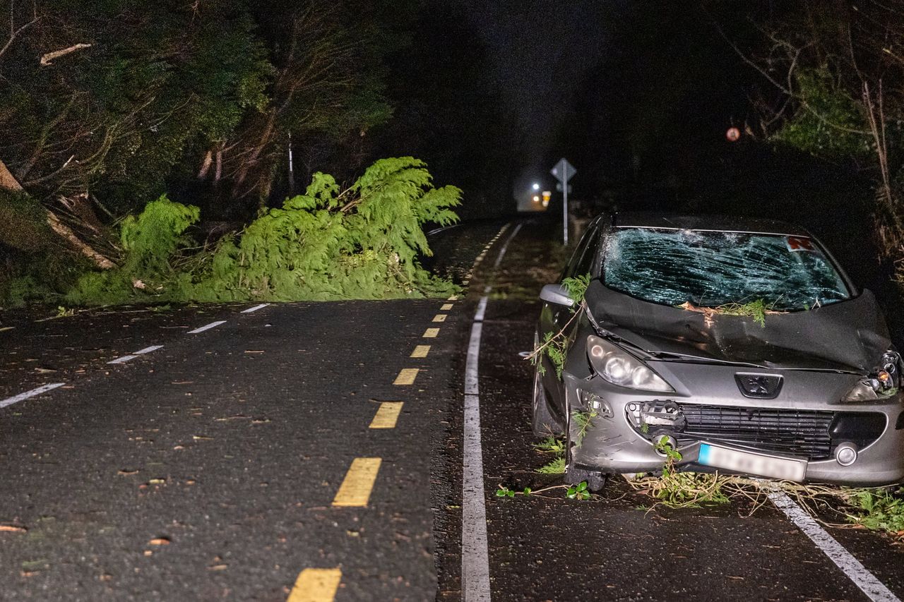 Pictures show the aftermath of Storm Isha in Sligo as clean-up is ...