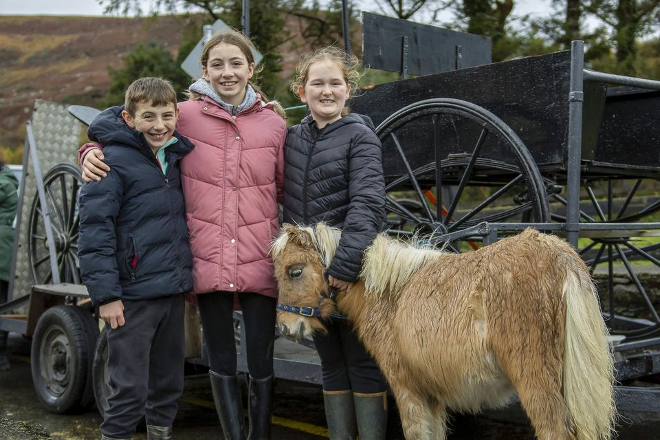 Pictures show the spirit of the Gap of Dunloe traditional fair | Irish ...