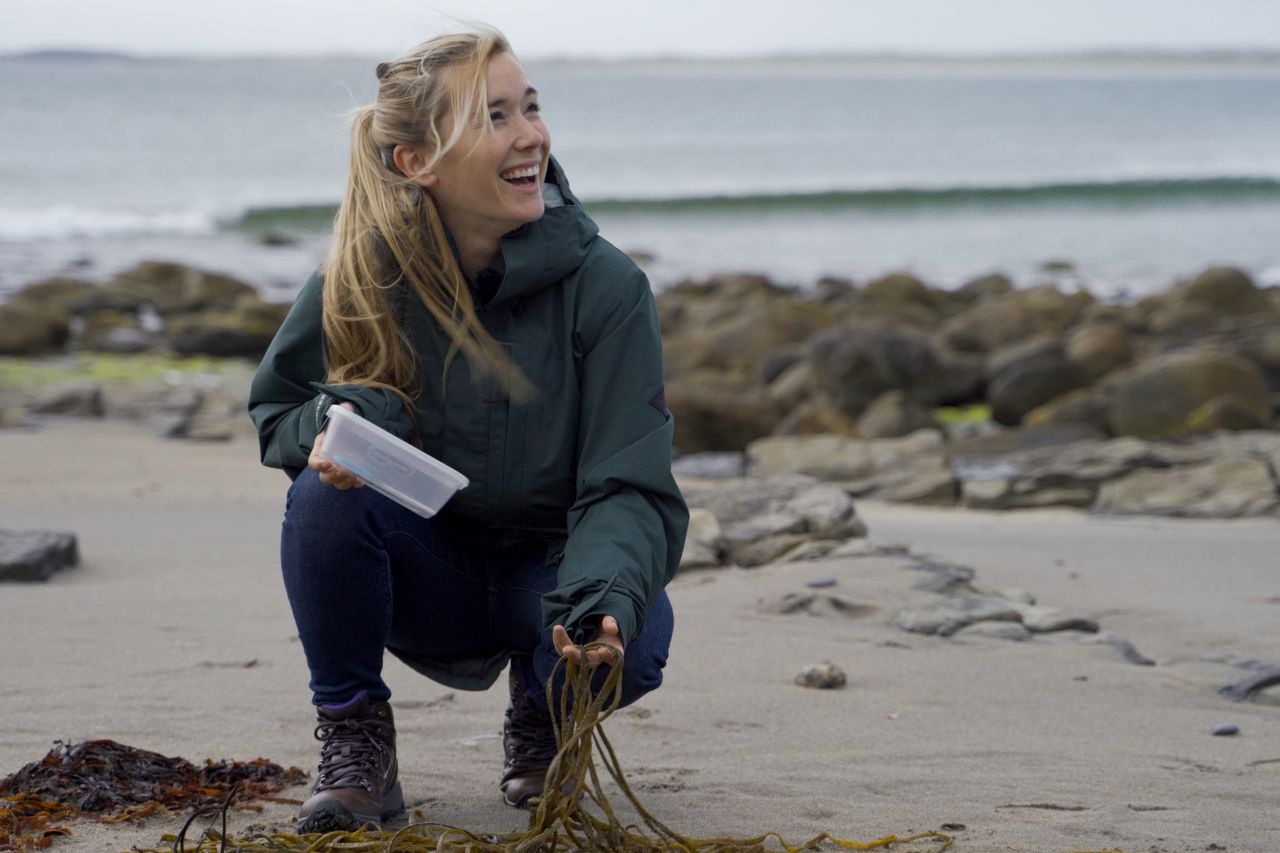 Five things to note when watching Netflix’s ‘Seaspiracy’ – according to ...