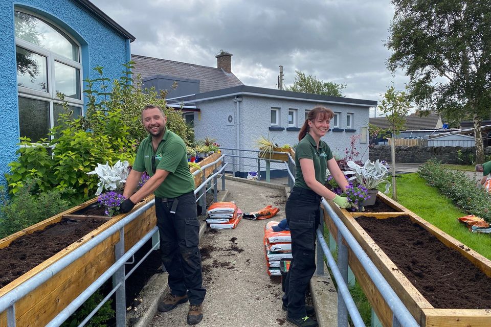 Sligo firm Aurivo helps Mercy Primary School create a beautiful sensory ...