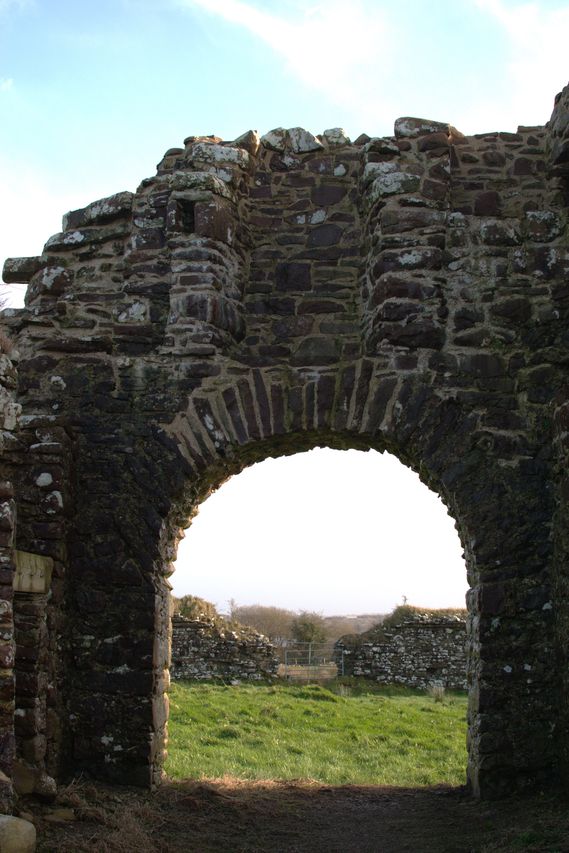 Local group working to preserve 15th-century Sligo castle and restore ...
