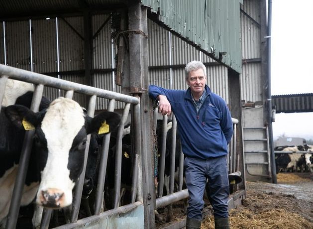 Kerry farm figures condemn RTÉ footage but insist most treat calves ...
