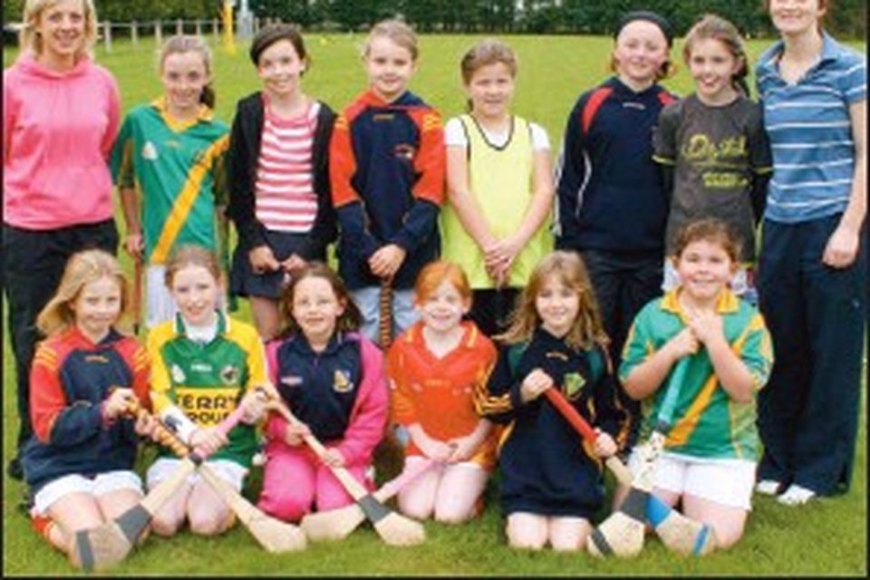 Camogie girls hone their skills at workshops | Irish Independent