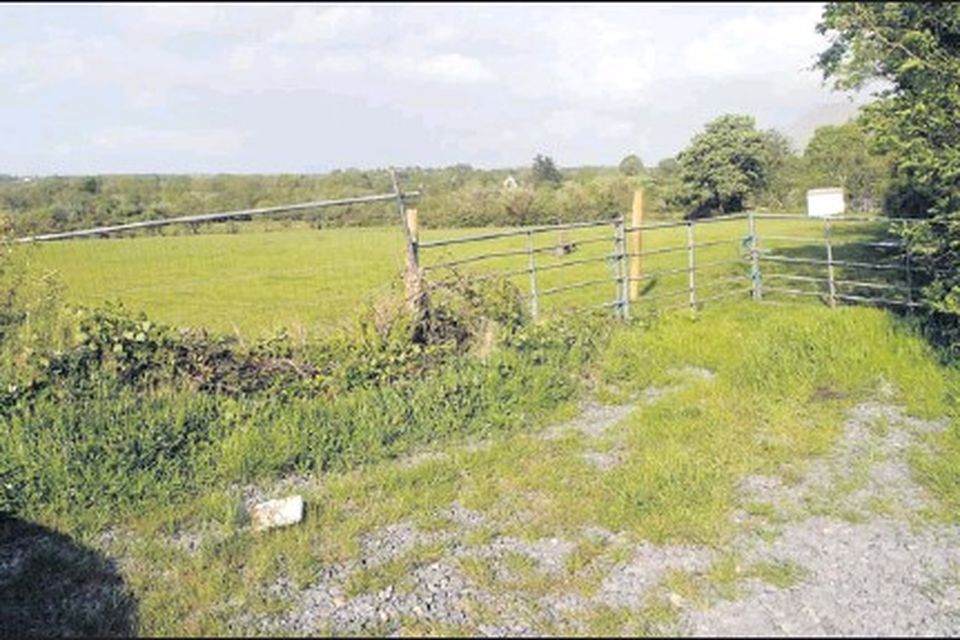 Manager's recommendations for cemetery 'make eminent sense' | Irish ...