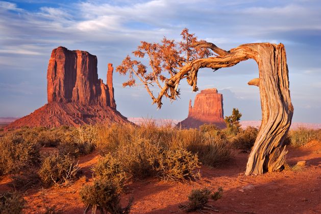 Explore Utah: Top tips for planning your next big outdoor adventure ...