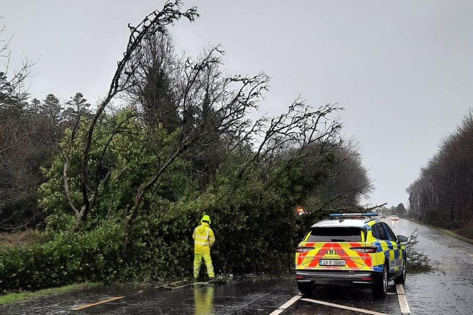 Gusts of 140km/h recorded at Sligo Airport, roads blocked by fallen ...