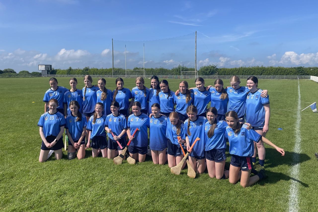 Ramsgrange Community School continue winning habit by landing Leinster ...