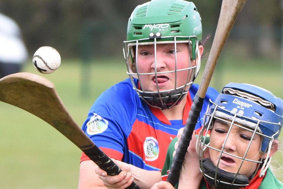 Gorey CS girls aiming for All-Ireland camogie crown | Irish Independent