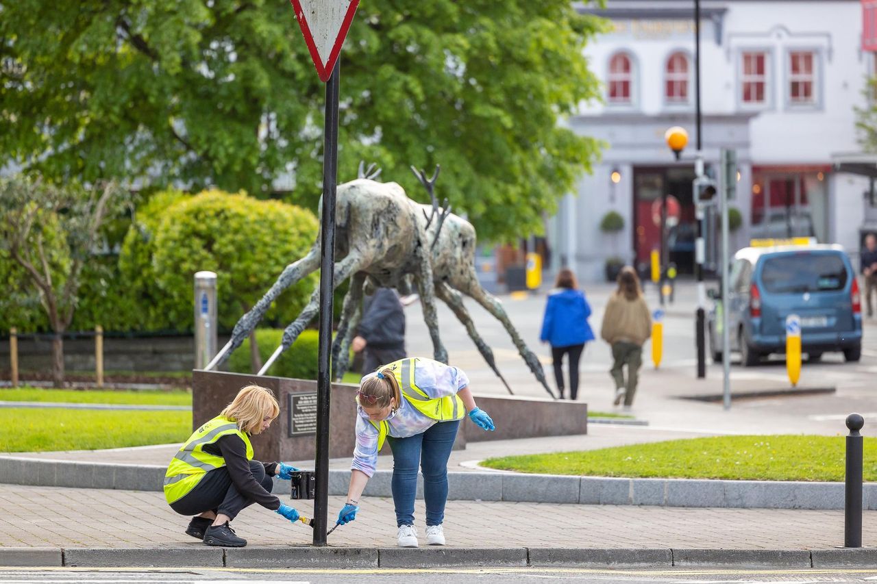 Killarney Tidy Towns season off to a poignant start as late Yvonne ...