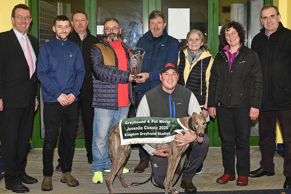 Ballymac Wild romps to Juvenile Classic success behind Stadium's closed ...