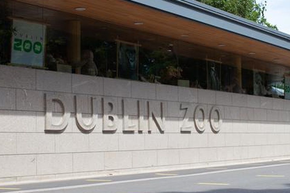 Alarm over Dublin Zoo conditions as inspection records medicines with ...