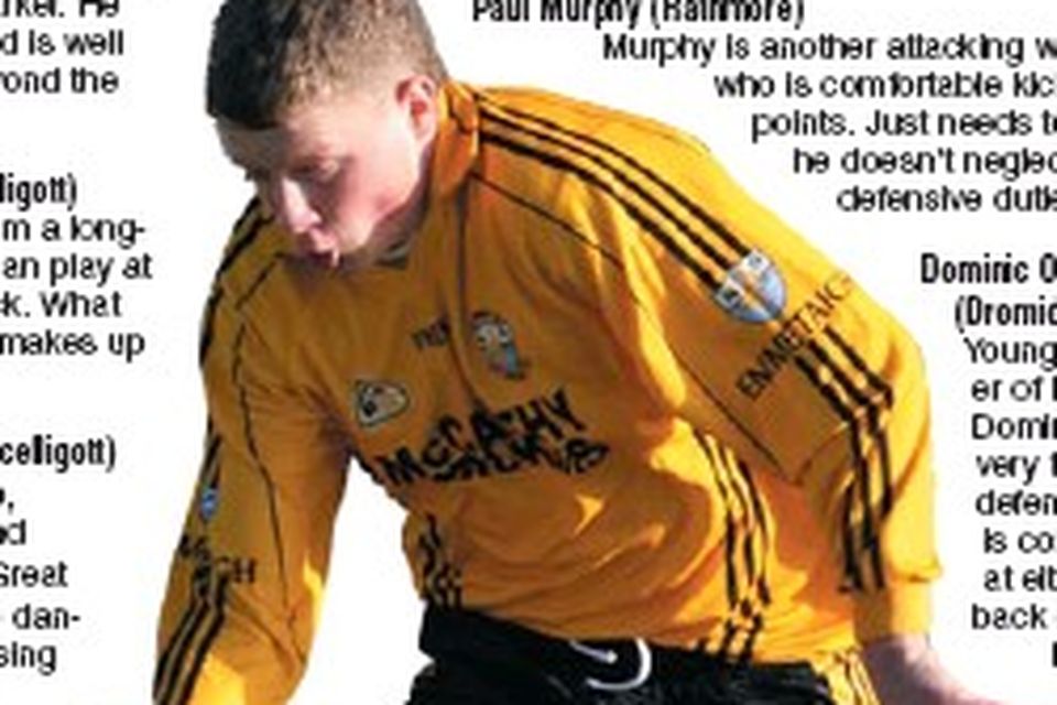 WHO'S WHO ON THE KERRY U-21 PANEL...WHO'S WHO ON THE KERRY U-21 PANEL ...