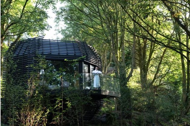 Ireland’s forest hotels: Inside a new wave of woodland suites and dens ...